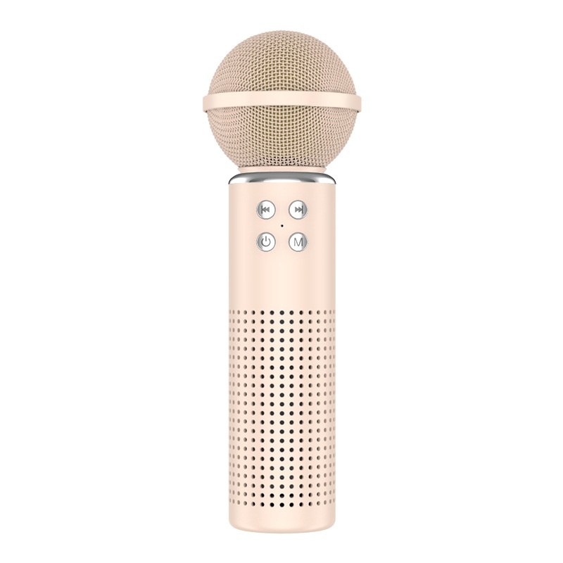 E300 Wireless Micphone